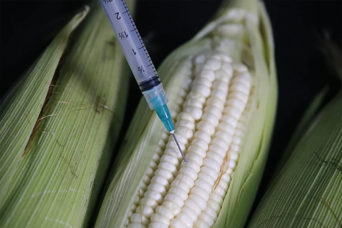 Secretaría de Economía recibe solicitud para estudiar técnicas sobre ...