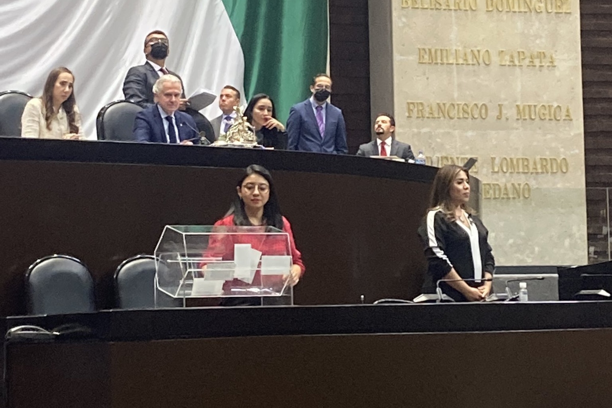 Guadalupe Taddei Zavala fue electa como presidenta del INE - Actualidad