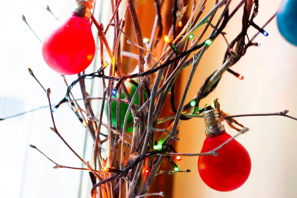 La Rama Veracruzana: qué es el desfile iluminado - Lado.mx