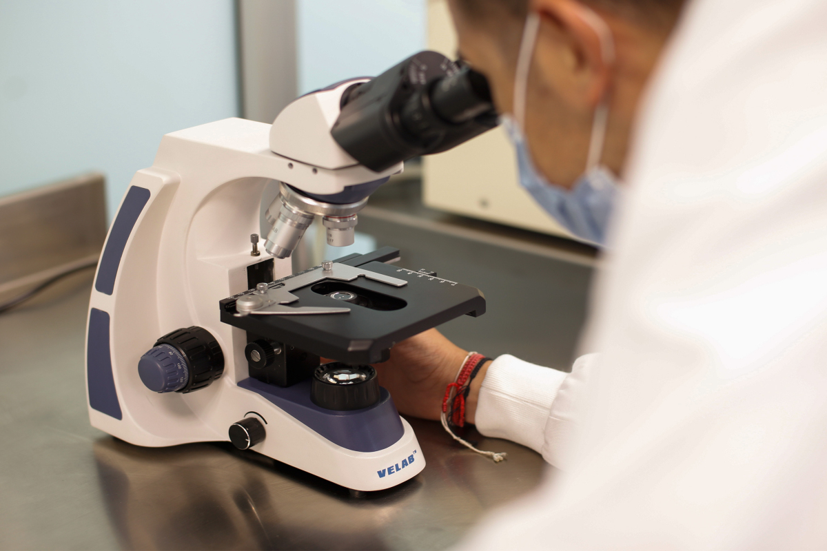 Químicos desafían la regla de Bredt y crean compuestos exóticos útiles ...