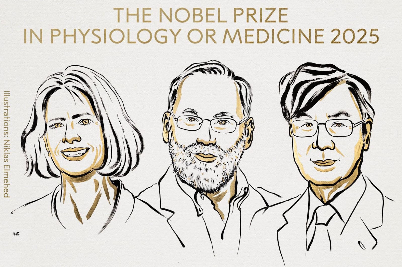 Tres investigadores ganan el Nobel de Medicina por estudiar la ...